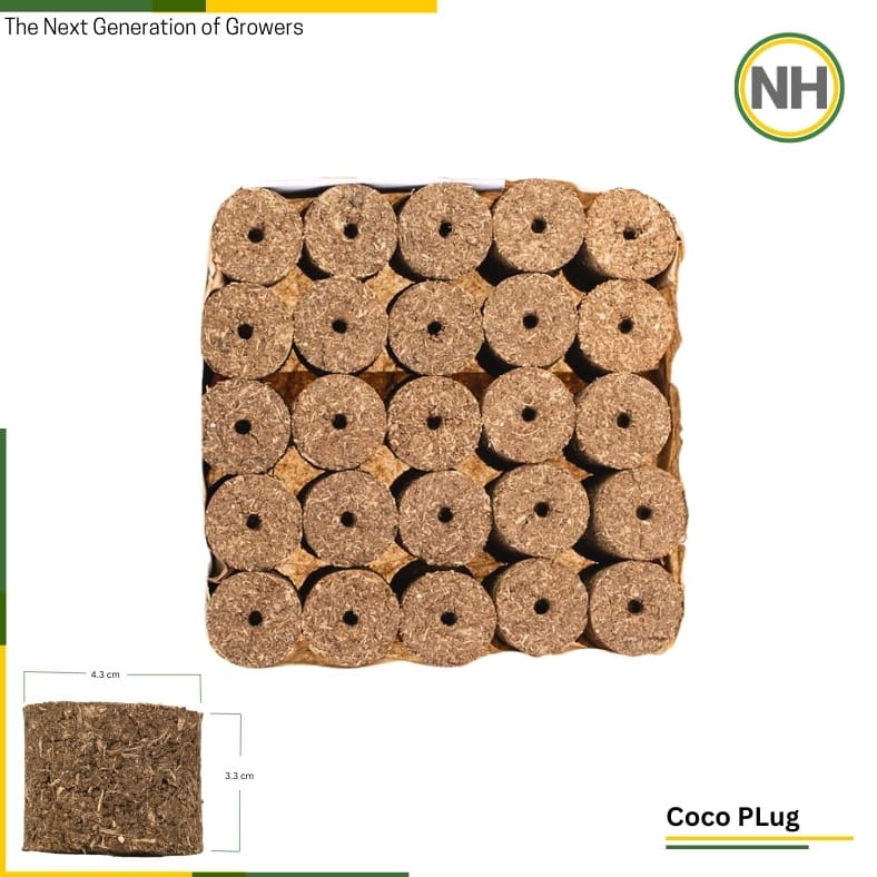 Coco Plugs | NutriHydro